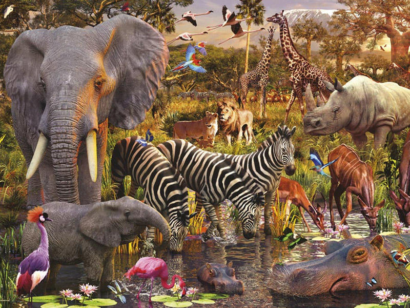 Heyvanlar və həşəratlar nə qədər yaşayırlar?