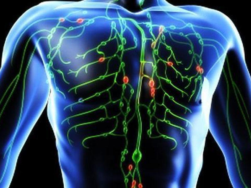 Həkimlərin diqqət yetirmədiyi limfa sistemi