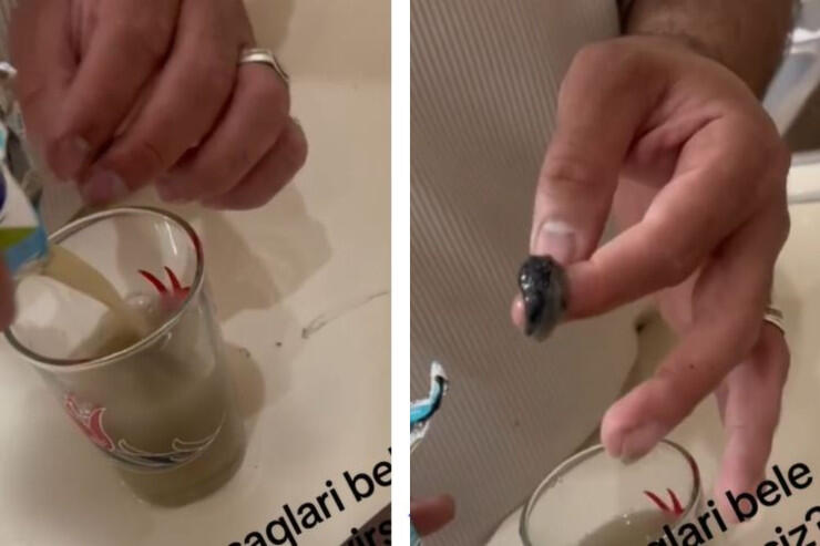 Azərbaycanda meyvə şirəsindən ilbiz çıxdı - ŞOK GÖRÜNTÜLƏR - VİDEO